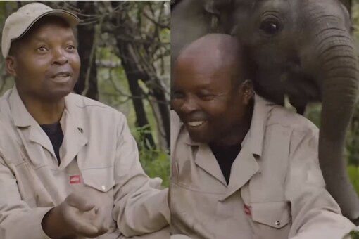 The Heartwarming Bond Between Baby Elephant And Its Caretaker Is Pure ...