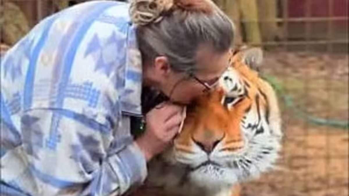 Watch: Elderly Woman’s Love For Her Pet Tiger Leaves Internet ...