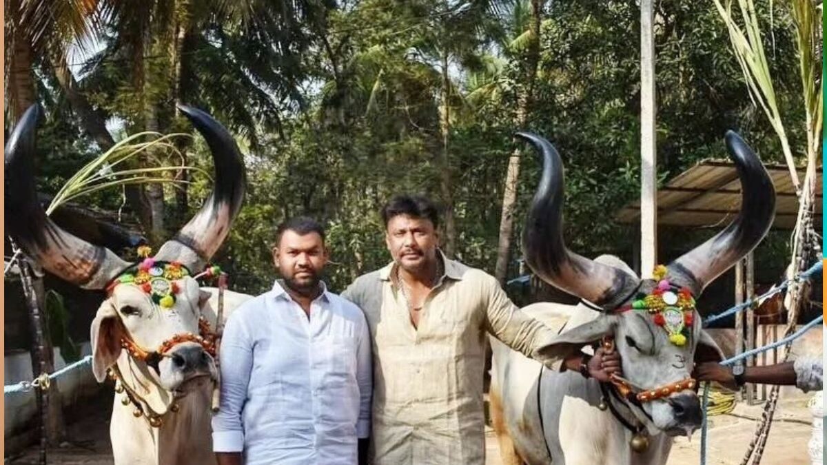 South Star Darshan Rings In Sankranti With Festivities At Mysore ...