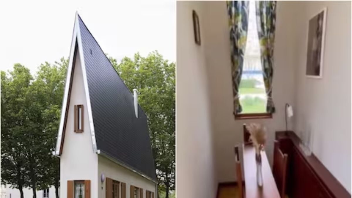 This Unique Artwork Named Narrow House In France Will Blow Your Mind ...