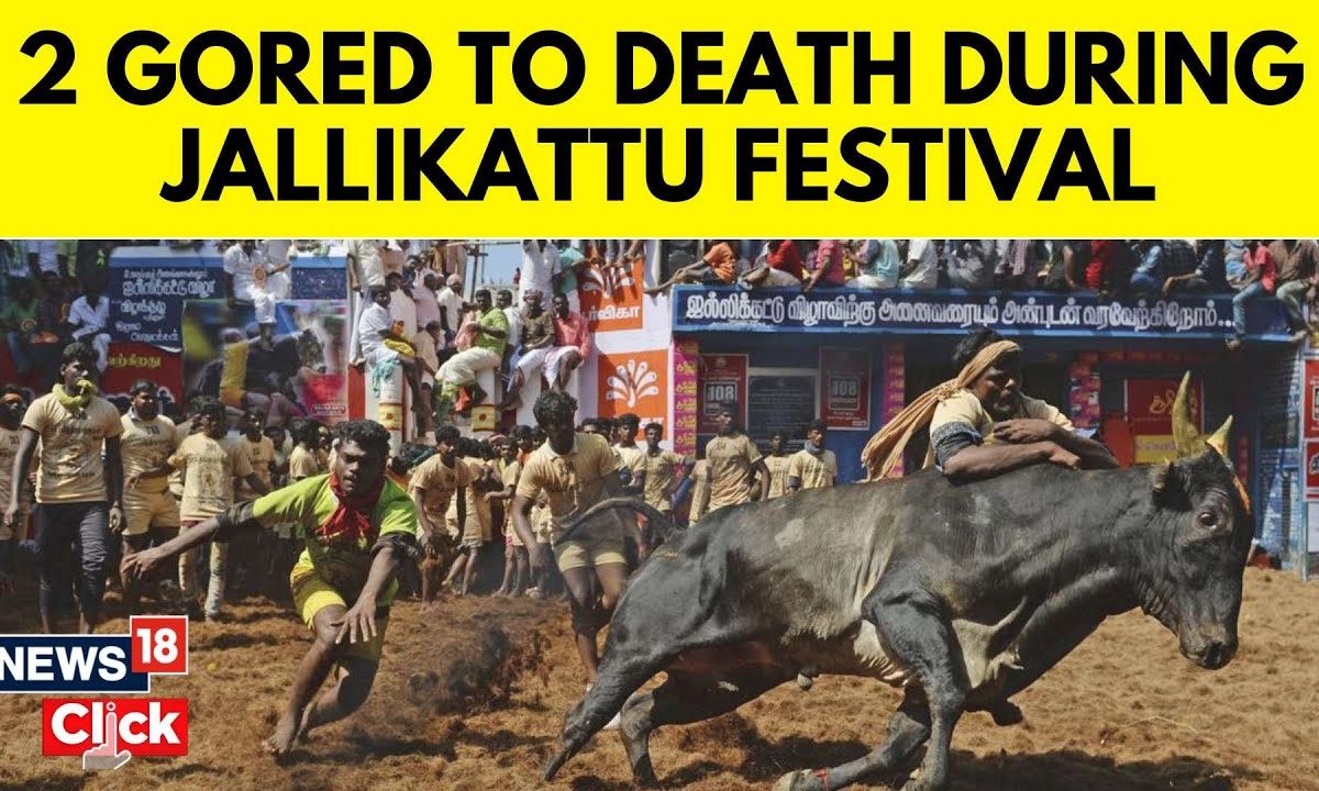 2 Killed by Bulls During Jallikattu Event in Tamil Nadu - News18