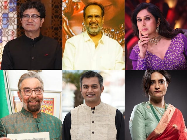 Meet The Reel Awards 2024 Jury: Prasoon Joshi, Aanand L Rai, Meenakshi ...