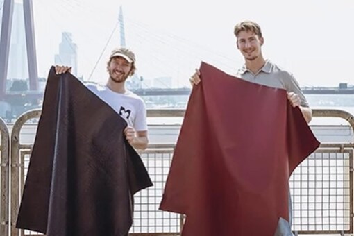 This Video Of Dutch Designers Making Leather Out Of Mango Skin Has 7 ...