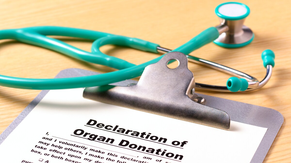 India Saw 1,000 Organ Donations from Deceased Donors in 2023, Highest So Far. Rajasthan Tops ...