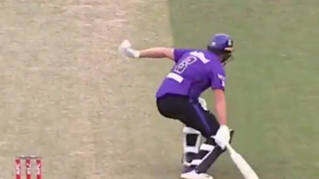 WATCH | A Throwback Video of When Tim David Cost His BBL Team 5 Penalty ...