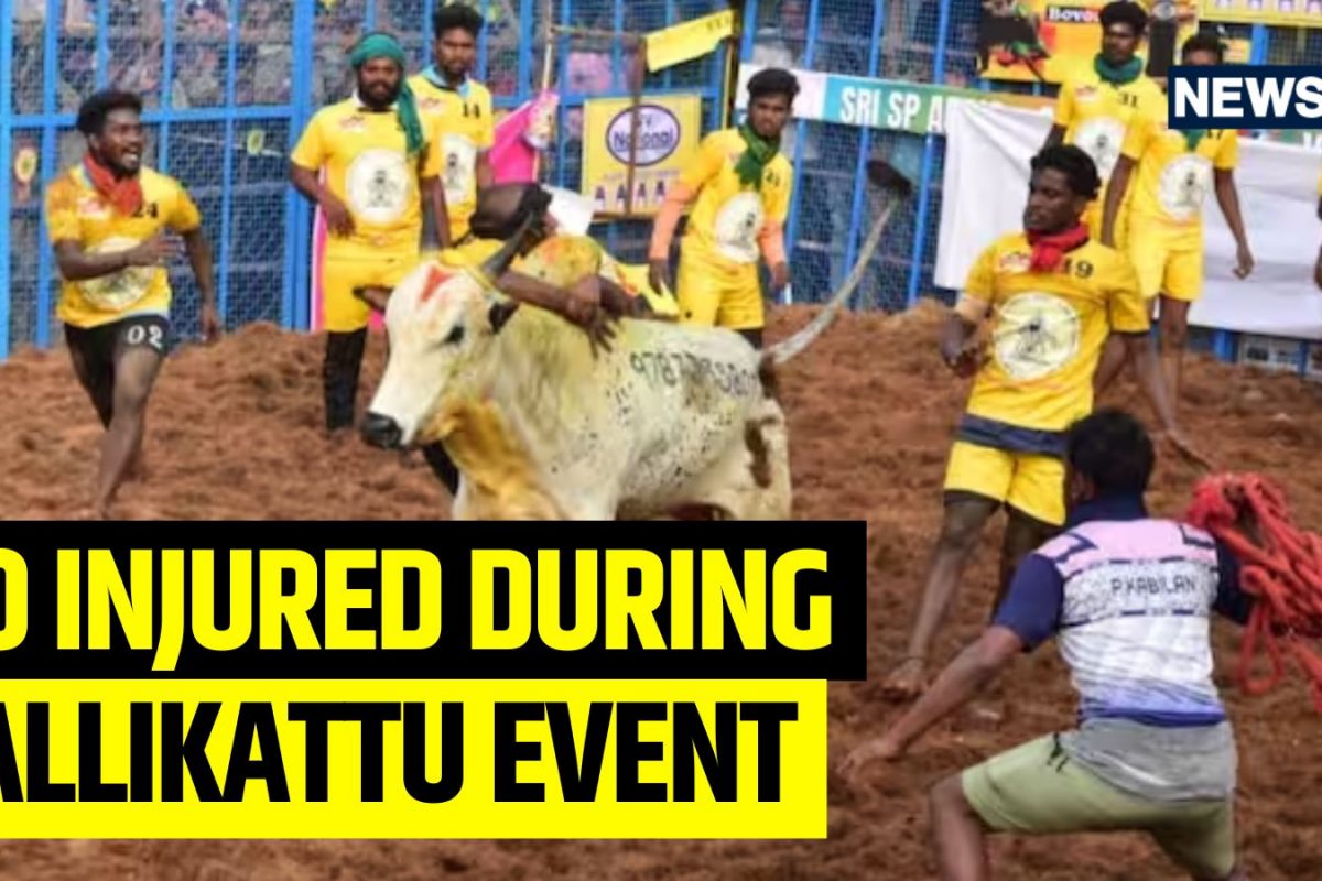 10 people injured during Jallikattu in Tamil Nadus Madurai, Over 4,514 ...