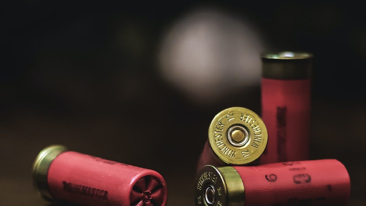 Man Tries to End Argument over Loud Music on New York Subway, Shot Dead ...