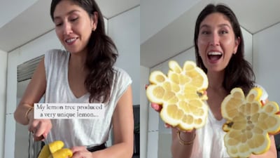 Viral Video of Giant 'Creepy-shaped' Lemon is Giving Internet All the ...