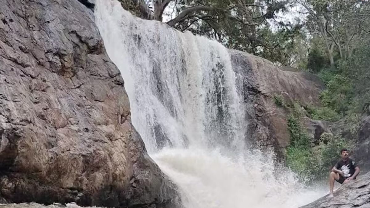 Watch: In TN's Virudhunagar, Shenbagathoppu Waterfall In All Its Glory ...