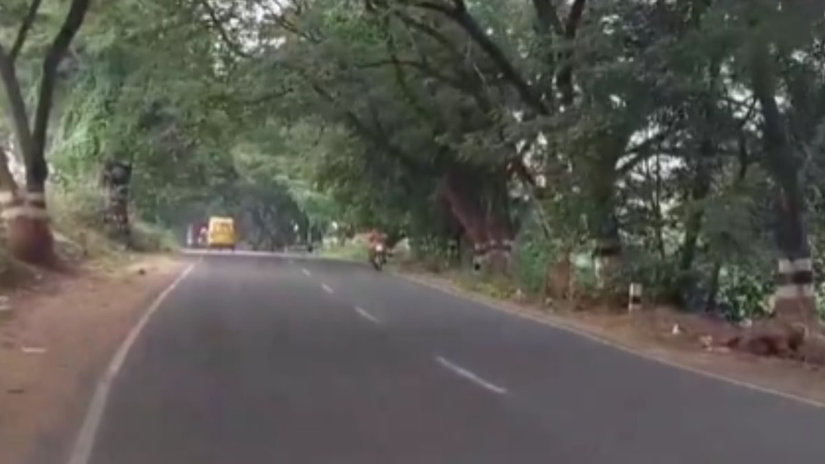 Beyond Urban Bustle, Unique Roadway Between Kalavasal And Theni Bypass ...
