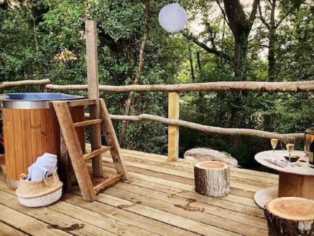 This UK Treehouse Gives Tourists The African Savanna Experience - News18