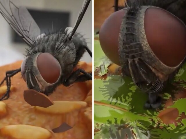 Video Capturing Eating Habit Of Flies Disgusts Internet - News18