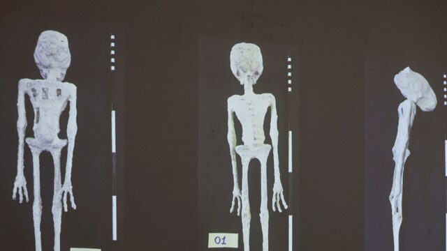 Peru's 'Alien Mummies' Exposed: Experts Confirm Earthly Origins of ...