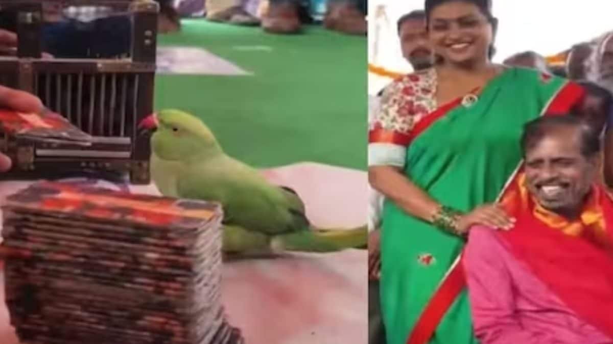 Actress Turned Politician Roja Visits Sankranti Celebration Organised ...