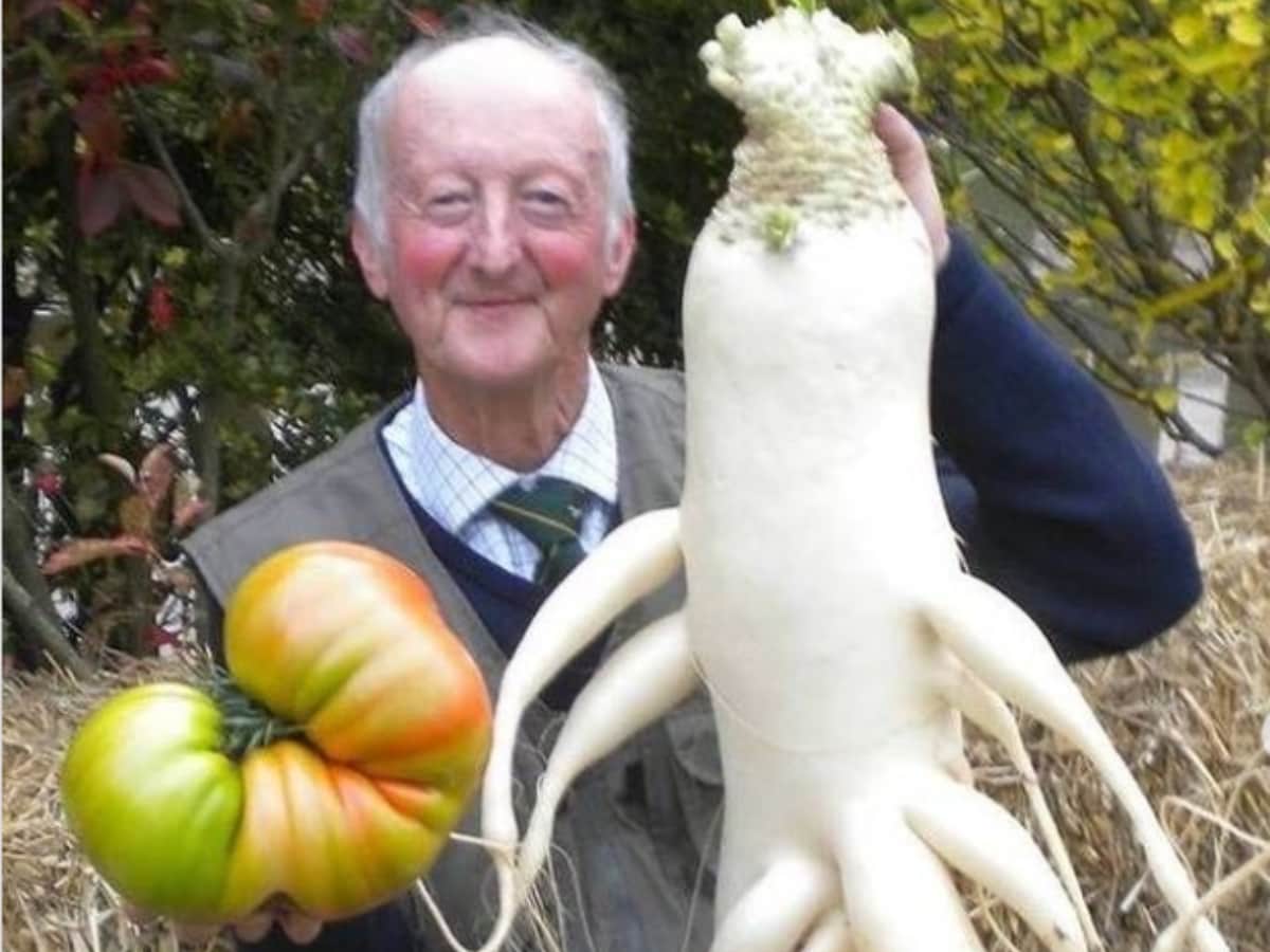 World Record Giant Vegetables