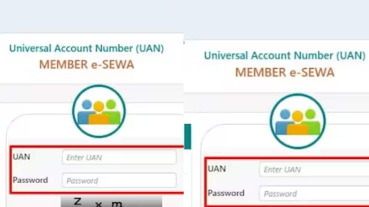 Lost Your UAN? EPFO Unveils Online Solution For Employees To Retrieve ...