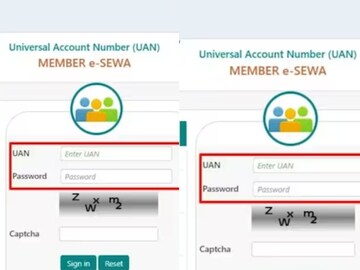 Lost Your UAN? EPFO Unveils Online Solution For Employees To Retrieve ...