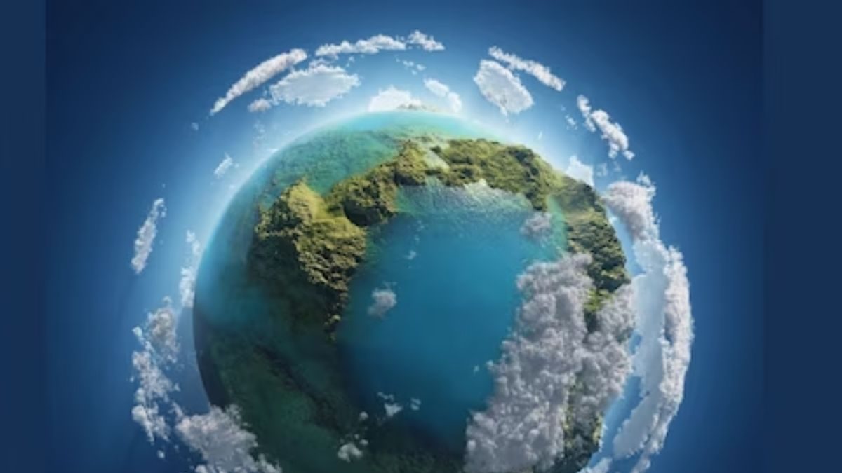 Unlocking The Cosmic Rarity: Earth's Precious Wood Defies Universal ...