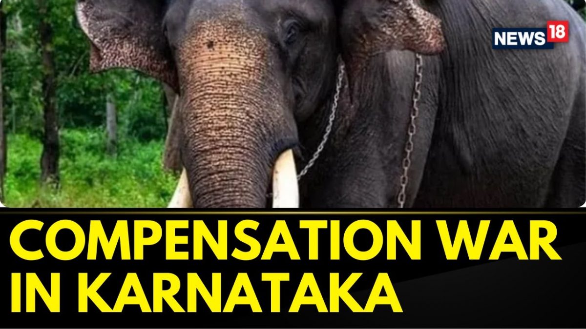 BJP Objects To Payment Of Compensation To Wayanad Elephant Attack ...