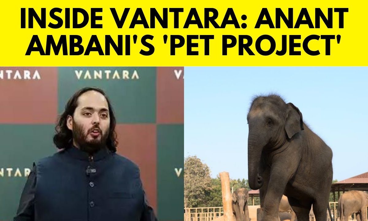 Anant Ambani's Vantara | Reliance Foundation's Anant Ambani's Animal ...