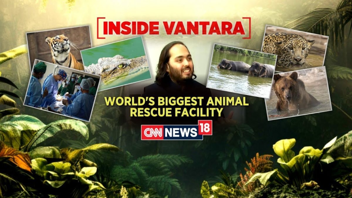 Inside Vantara: World's Biggest Animal Rescue And Rehabilitation Center ...