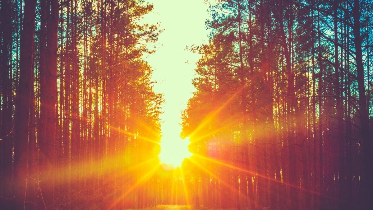 UV Dangers and Vitamin D: Finding the Right Sun Balance | Lifestyle ...