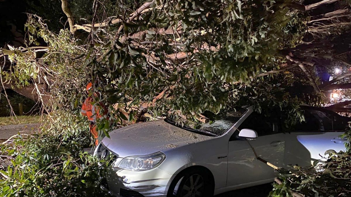 Australia Storms Kill 1, Knock Out Power to 174,000 Homes | World News ...