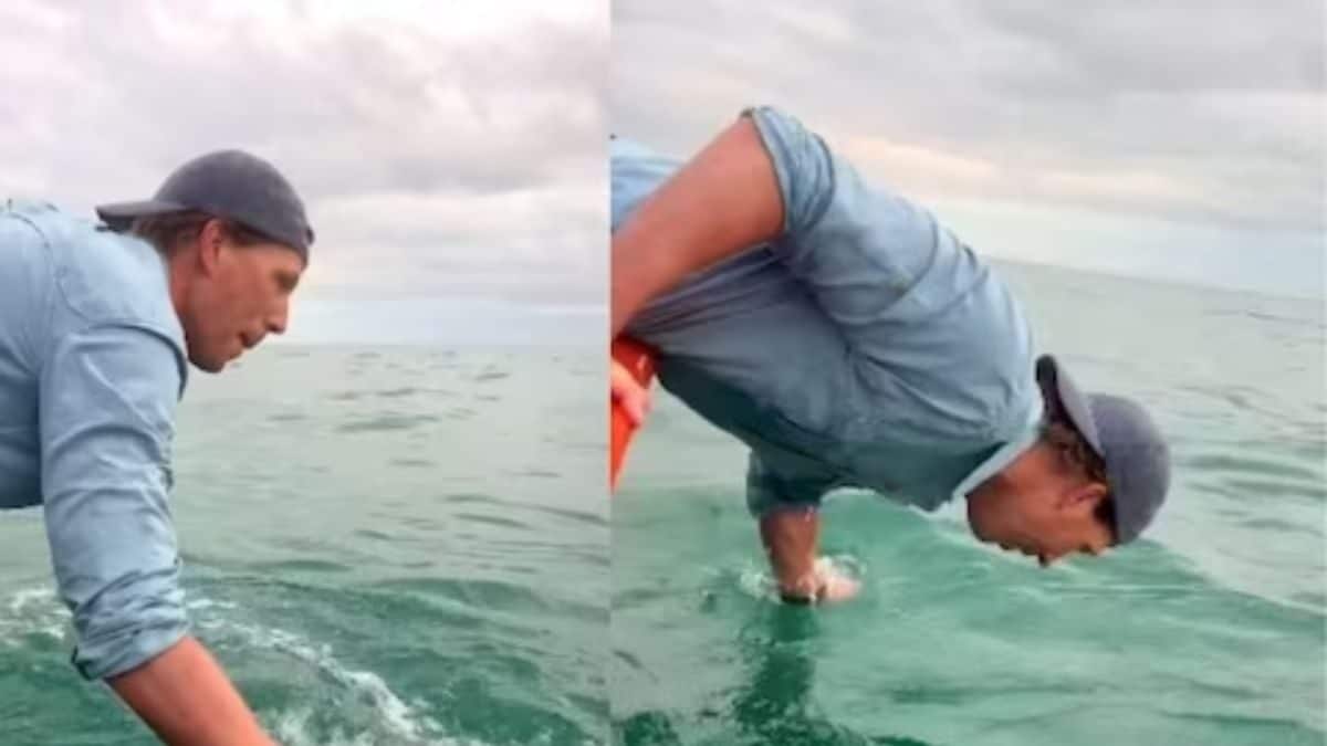 Video Of Man Petting And Kissing Whale Elicits Mixed Reaction On ...