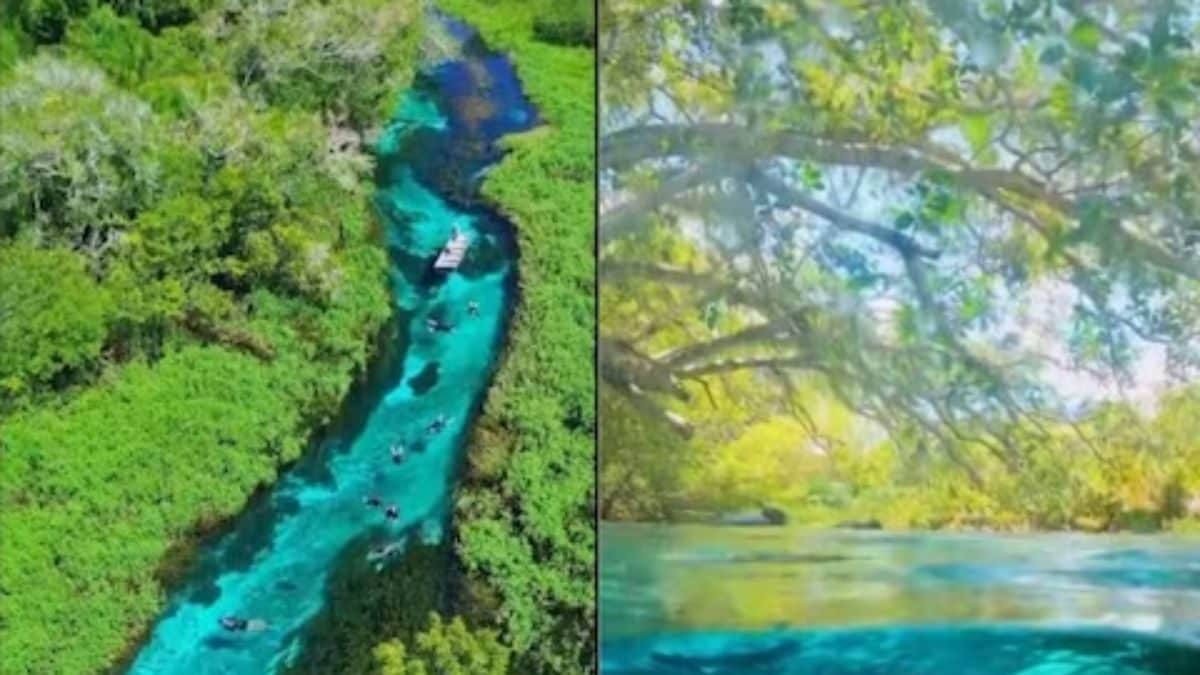 In Brazil, Pristine Sucuriú River's Crystal Clear Waters Leave The ...