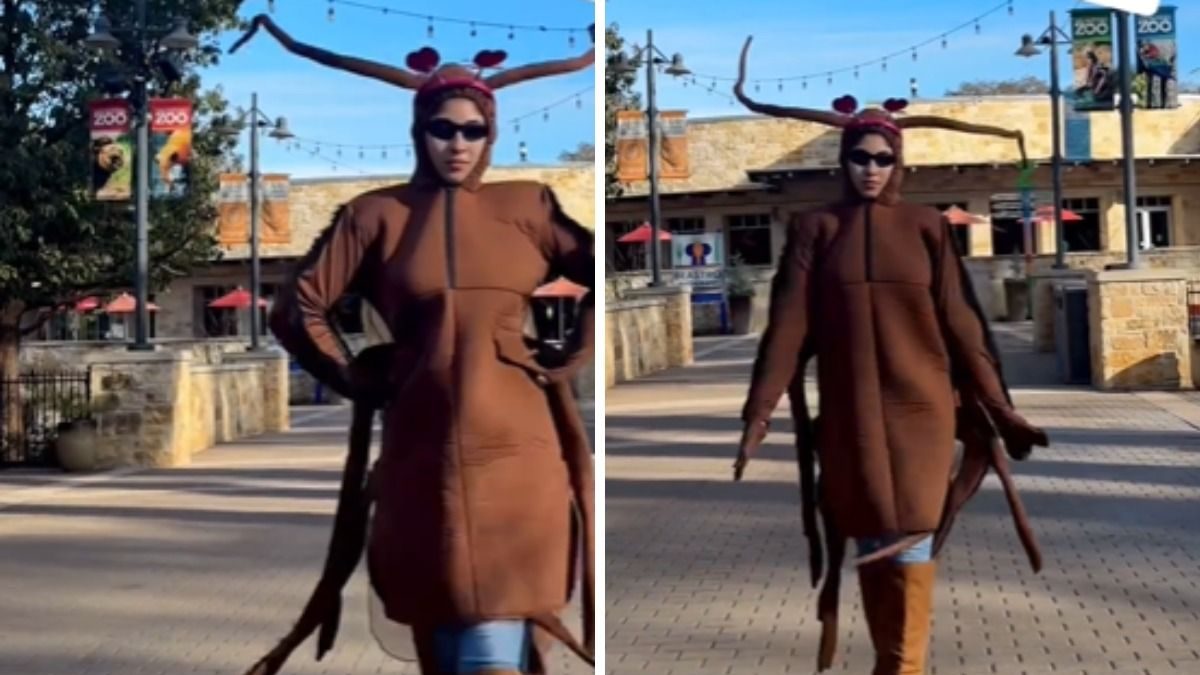 Woman's Cockroach Idea To Get Rid Of Ex-Boyfriends Is Making Internet ...