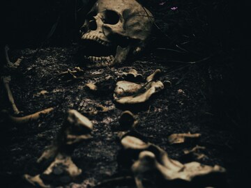 Australian Woman Spends Five Years Sleeping Next to Brother’s Rotting ...