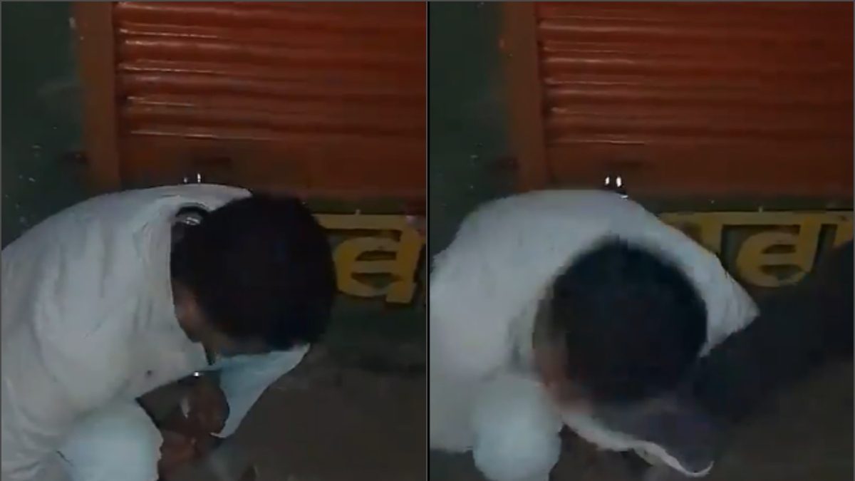 'Murga Bann': Tribal Man Physically Assaulted In Madhya Pradesh's Betul ...