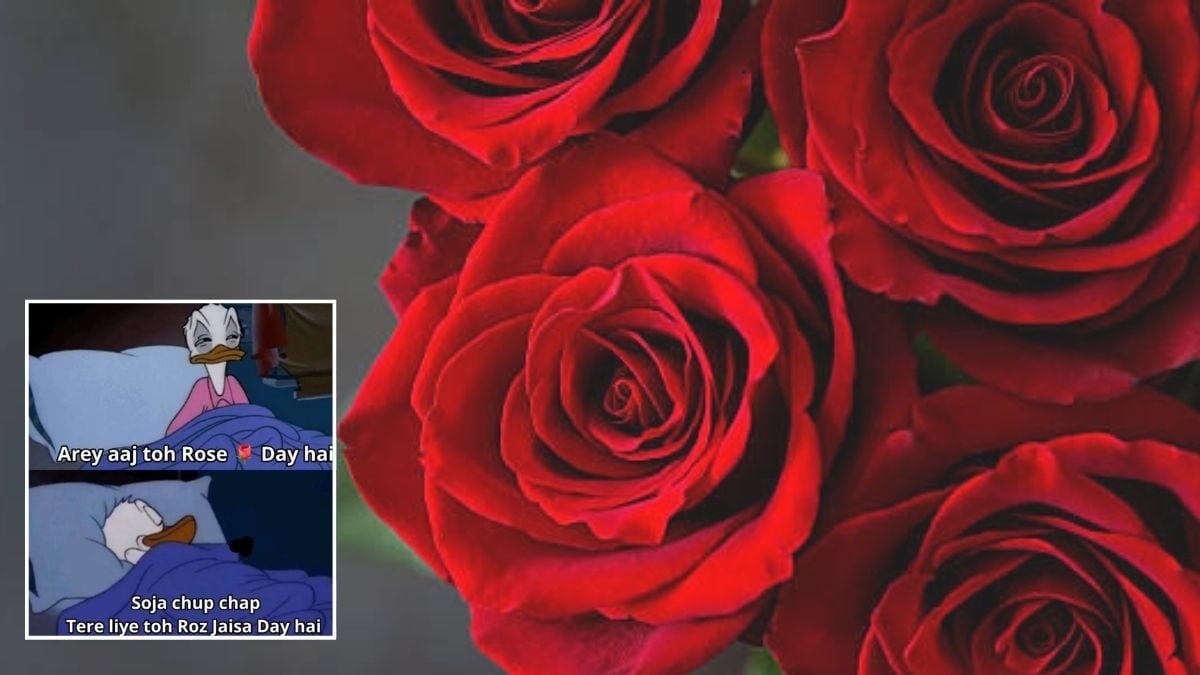 Rose Day Memes Paint the Internet 'Red' As Singles Kickstart Valentine ...