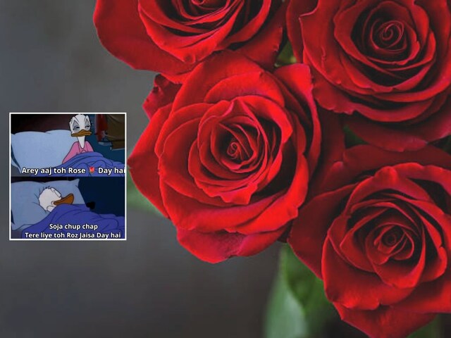 Rose Day Memes Paint the Internet 'Red' As Singles Kickstart Valentine ...
