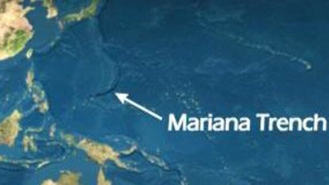 'Extraordinary' Levels Of Toxic Pollutants Found Even In Mariana Trench ...