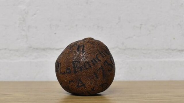 This 285-year-old Lemon Sold For Rs 1.5 Lakh, It Is Not A Drill | Viral ...