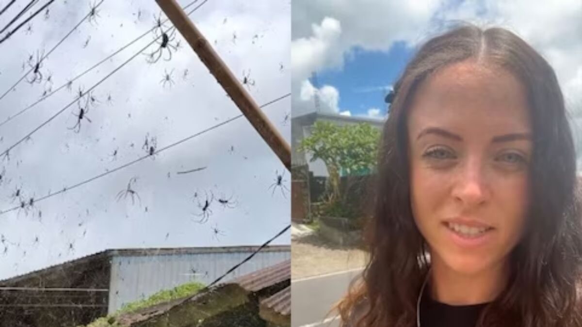 Watch: Tourist Encounters Massive Spider Colony In Bali; Internet Can't ...