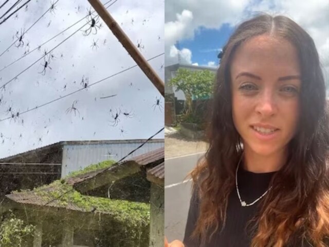 Watch: Tourist Encounters Massive Spider Colony In Bali; Internet Can't ...