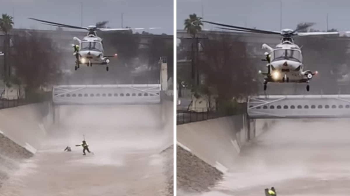 Watch: Firefighters Rescue Man Who Jumped Into River Looking For His ...