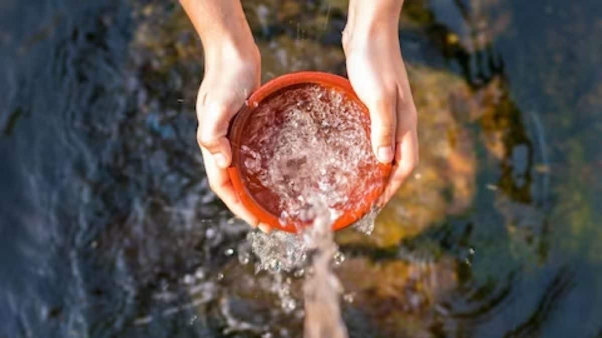 Is Water Really Wet? What Science Says | Viral News - News18