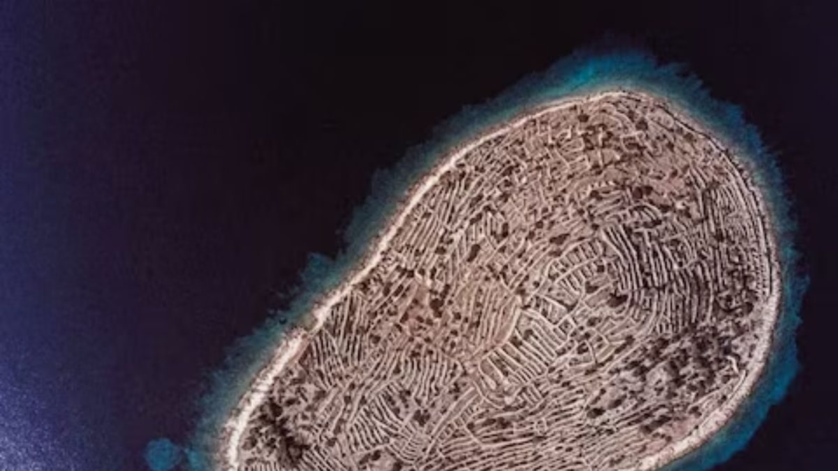 Why This Croatian Island Looks Like A Fingerprint | Viral News - News18