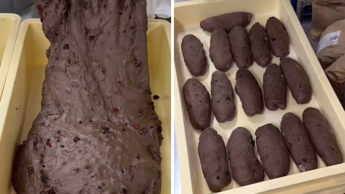 This Japanese Chocolate Bread Screams Yummy From Miles Away - News18