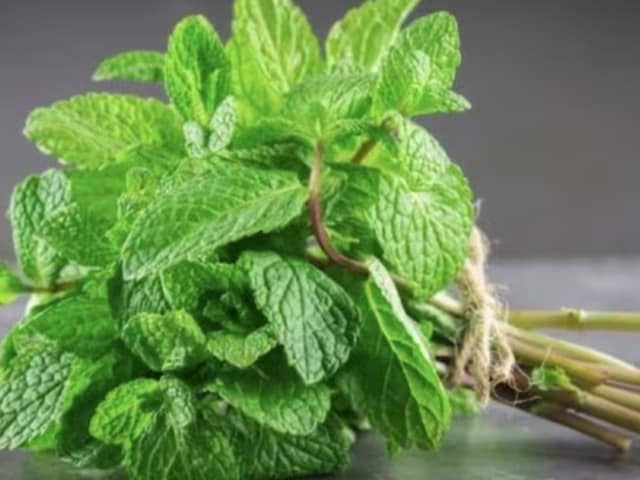 Love Mint? What Are Its Advantages, Side Effects And Who Should Have It ...