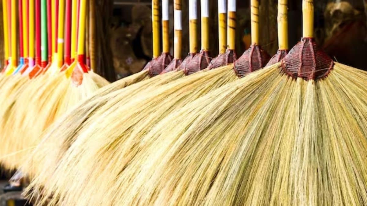 Do You Know A Broom Can Improve Your Financial Condition? Check These ...
