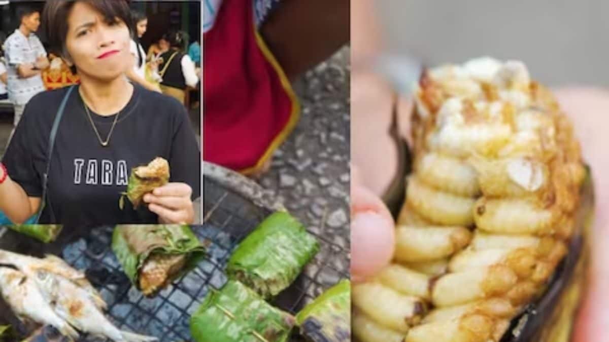 In Laos, Food Blogger's Encounter With Grilled Honey Bee Larvae Viral ...