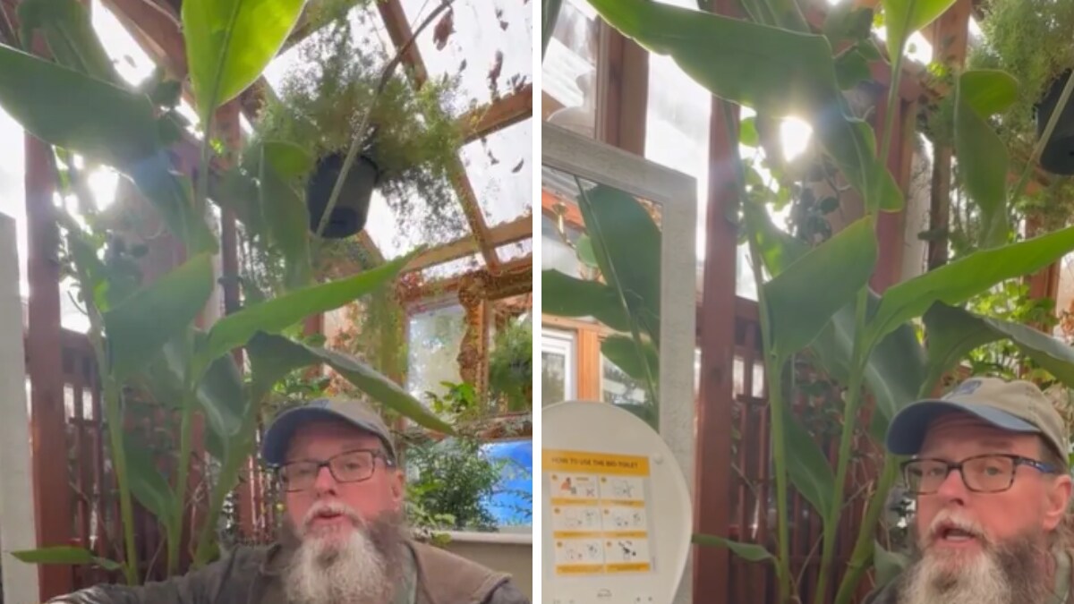 To Save Environment, Couple Converts Human Waste Into Cooking Fuel - News18