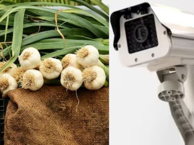 Madhya Pradesh Farmers Deploy Innovative Security Measures Amid Fears ...