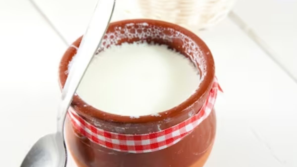 Temperature To Vessel, Things To Keep In Mind For Making Perfect Curd ...