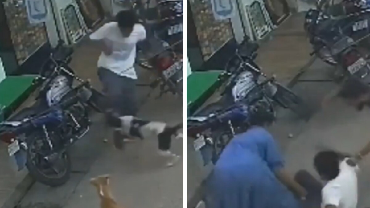 Watch: Woman Rushes To Save Man From Stray Dog Attack In Broad Daylight ...