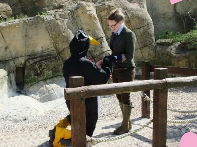 Man Dresses Up As Penguin To Propose To His Girlfriend, Reason Will ...
